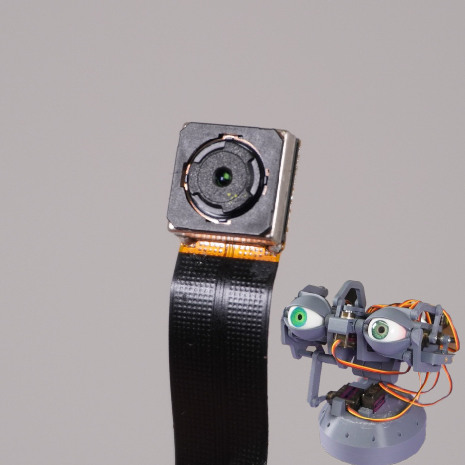 Eye Mechanism – NMRobotics